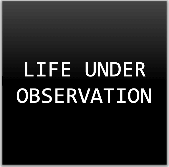 Life Under Observation: The Hidden Struggles of Coming Home - Vox Liminis